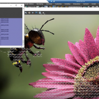 How to use Distributed rendering in Network Rendering