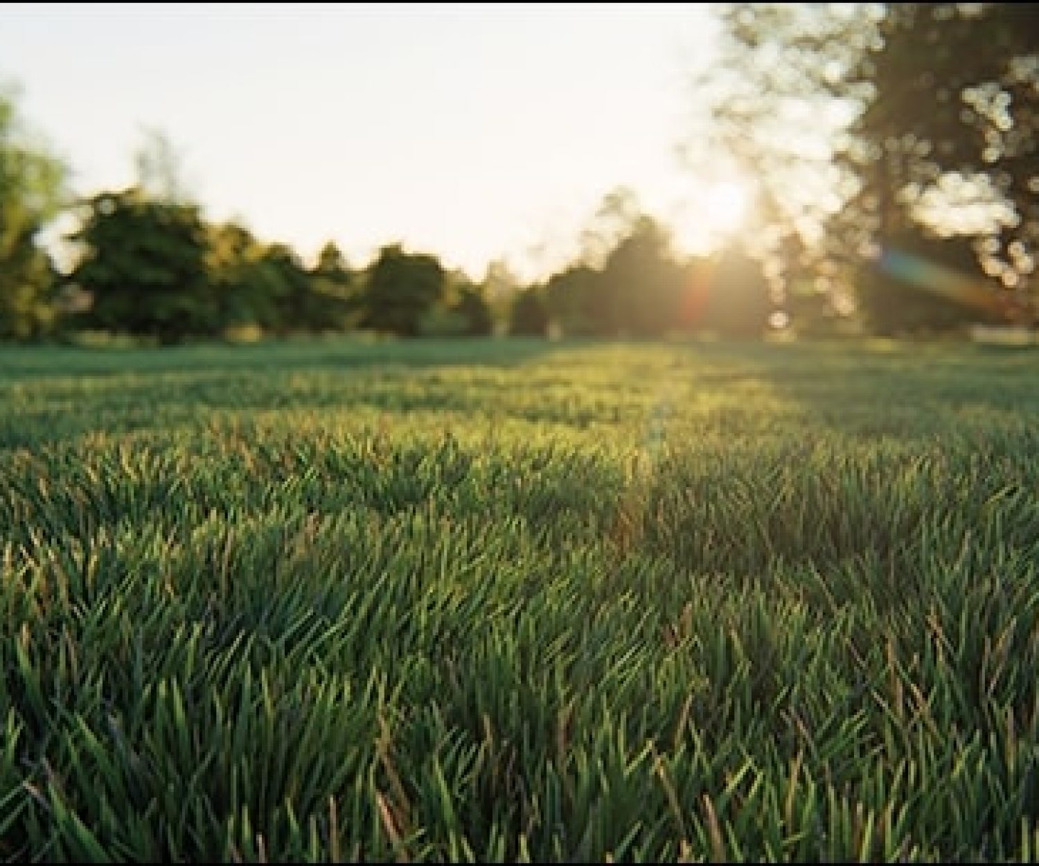 Cloud rendering for Lumion Archives | Page 3 of 5 | iRender Cloud Rendering Service