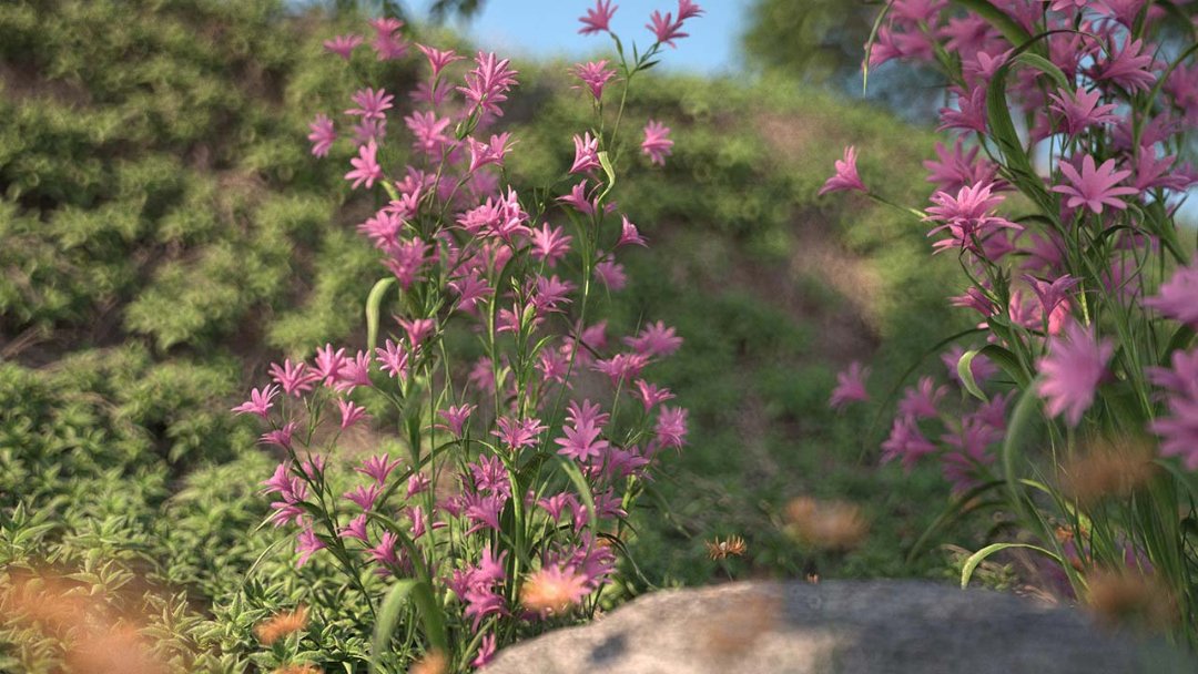 Quick introduction to Forester: a nature creation plugin for Cinema 4D