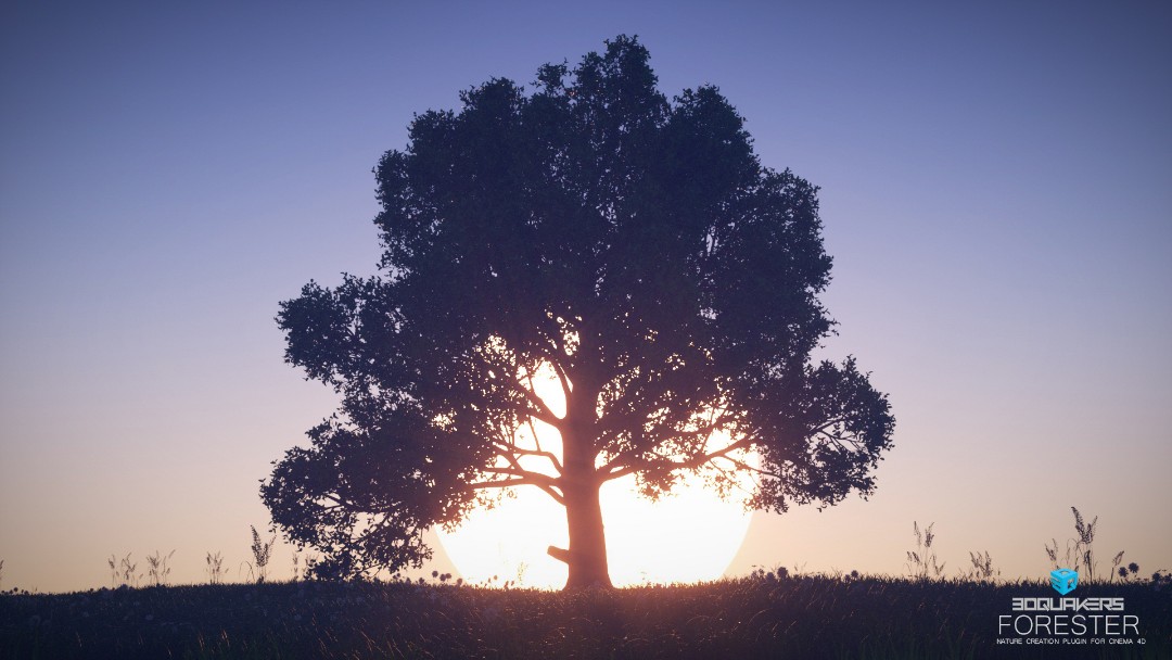 Quick introduction to Forester: a nature creation plugin for Cinema 4D