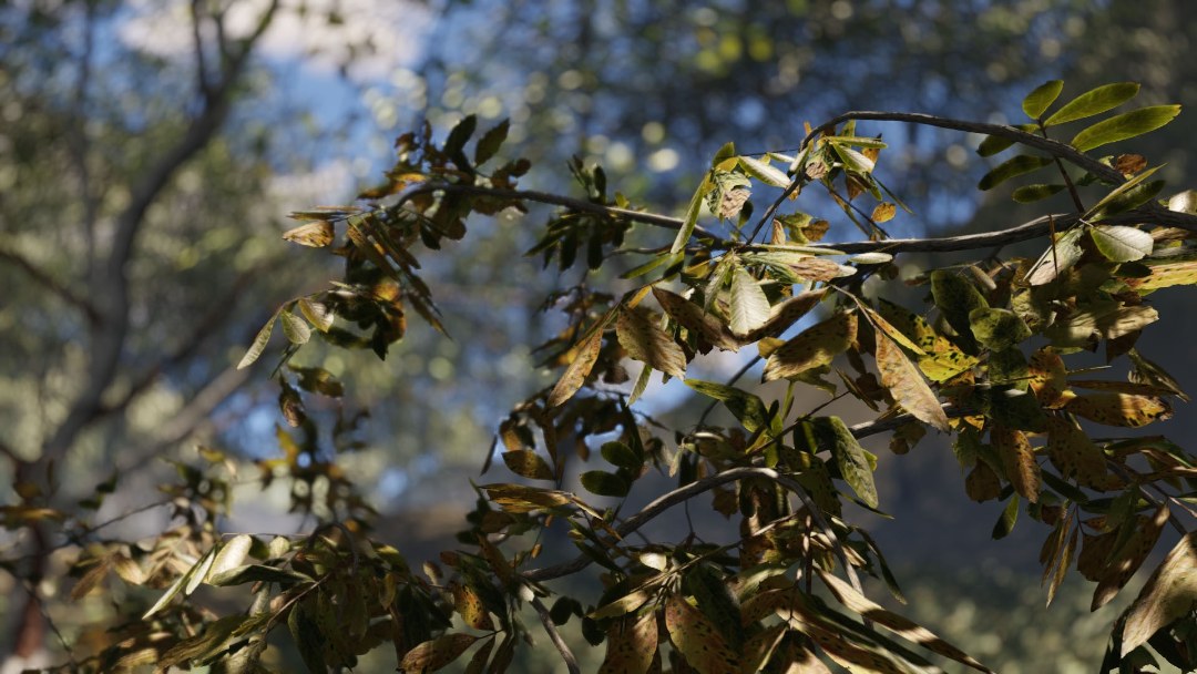 Environment Creation for Cinema 4D (P1): SpeedTree | iRender