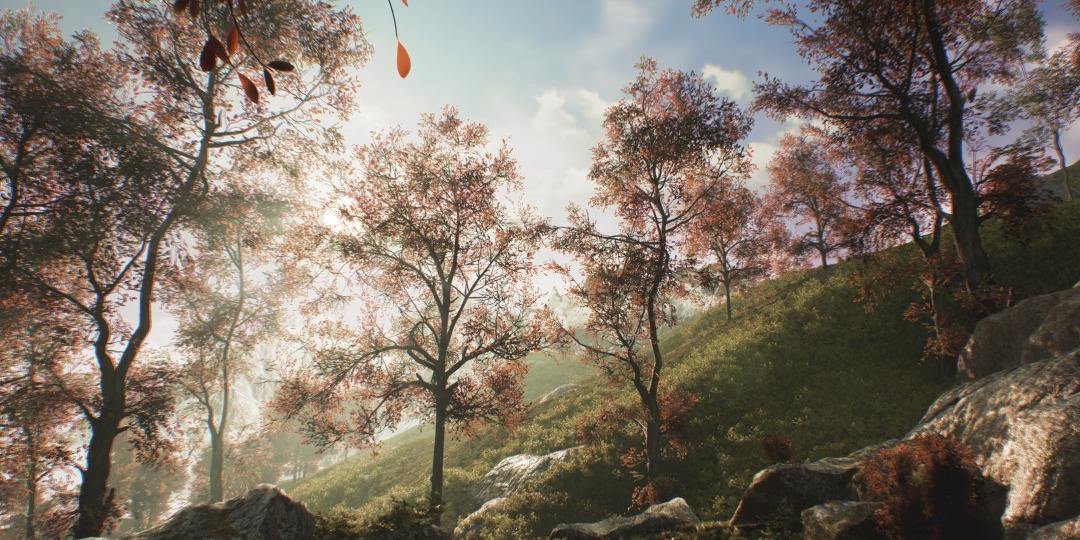 Environment Creation for Cinema 4D (P1): SpeedTree | iRender