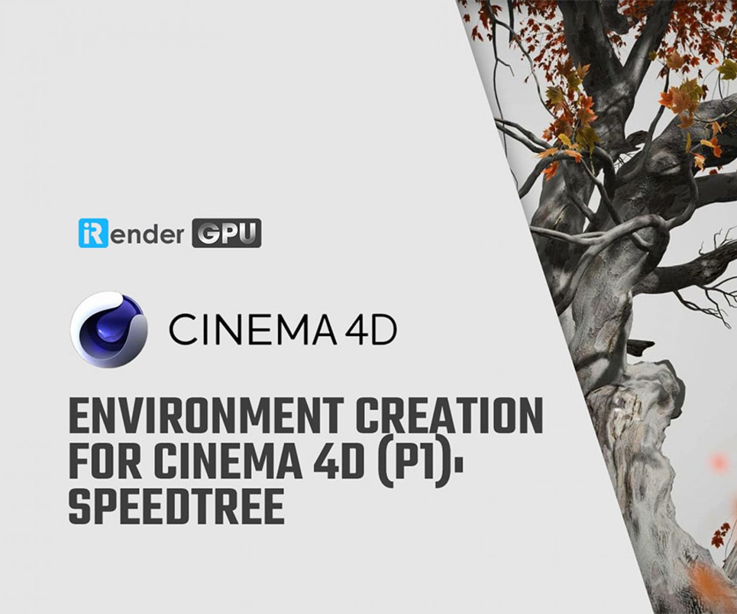 SpeedTree Cinema Archives | iRender Cloud Rendering Service