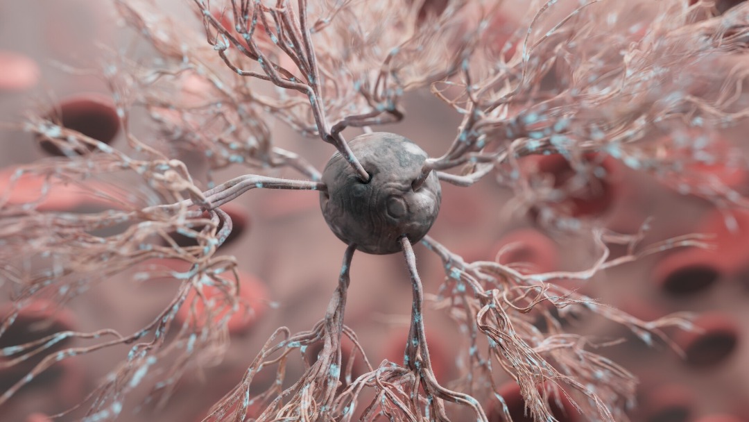 How to set up a basic HQueue farm (Part 2) | Houdini Cloud Rendering