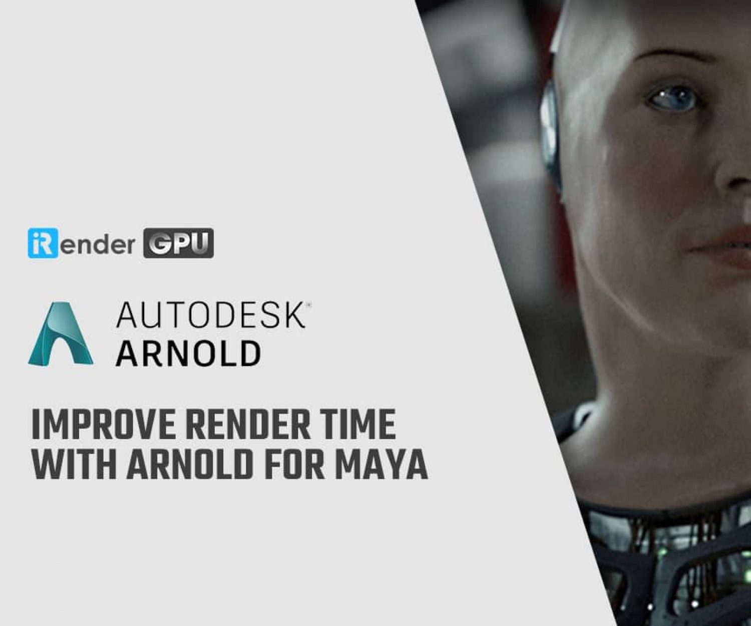 Arnold Render farm Archives | iRender Cloud Rendering Service Arnold Render farm Archives | iRender Cloud Rendering Service