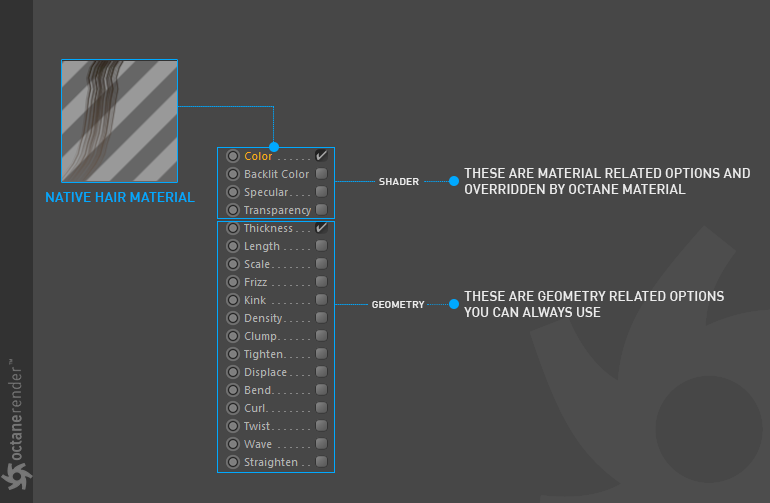 Hair rendering in Octane for Cinema 4D | Octane Render Farm