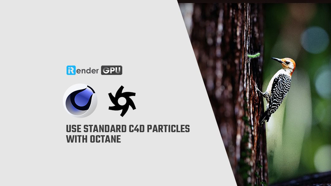 How to use Standard C4D Particles with Octane | iRender How to use Standard C4D Particles with Octane | iRender