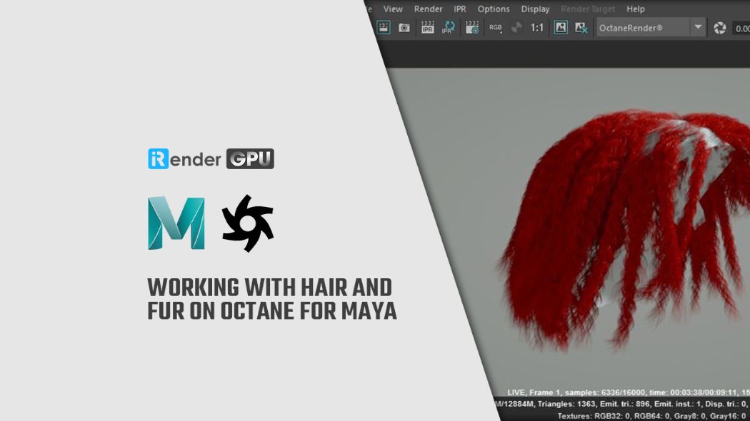 Working with hair and fur on Octane for Maya | Octane Render Farm