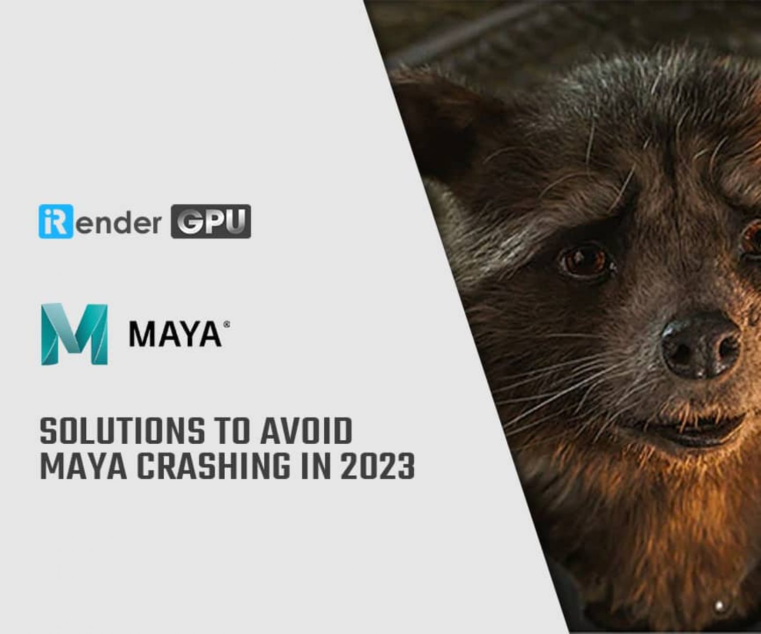 Tips for better Render Quality with Arnold for Maya | iRender RenderFarm Tips for better Render Quality with Arnold for Maya | iRender RenderFarm