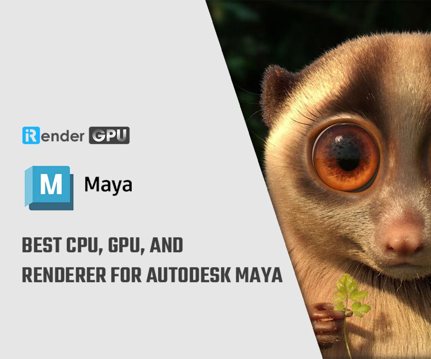 Basic render settings for Maya | Cloud rendering for Maya Basic render settings for Maya | Cloud rendering for Maya