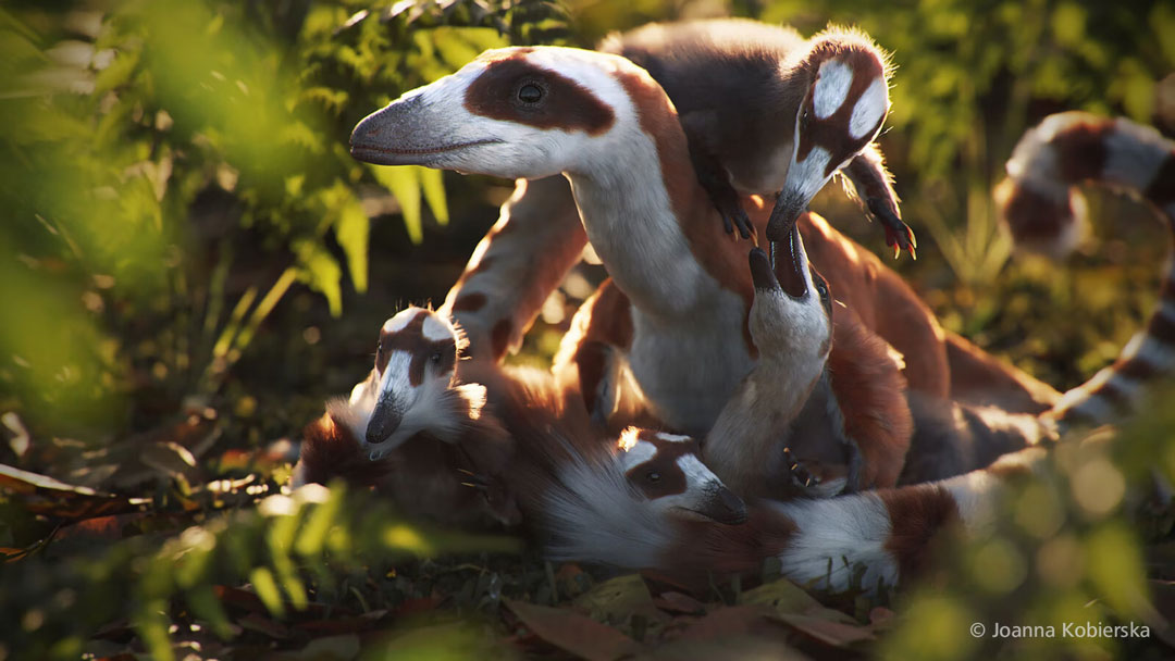 Exploring Redshift Renderer for Blender | Blender Render farm