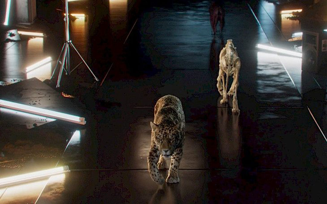 Which Render Engine Should We Use For Cinema 4D in 2023? | Cinema 4D ...