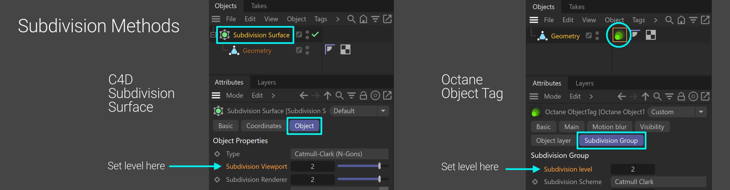The relationship between Polygons and Memory in C4D and Octane
