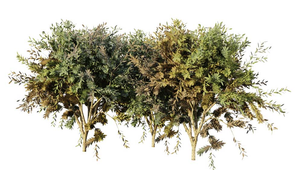 Add-ons for architectural visualization with Blender | Blender Render farm