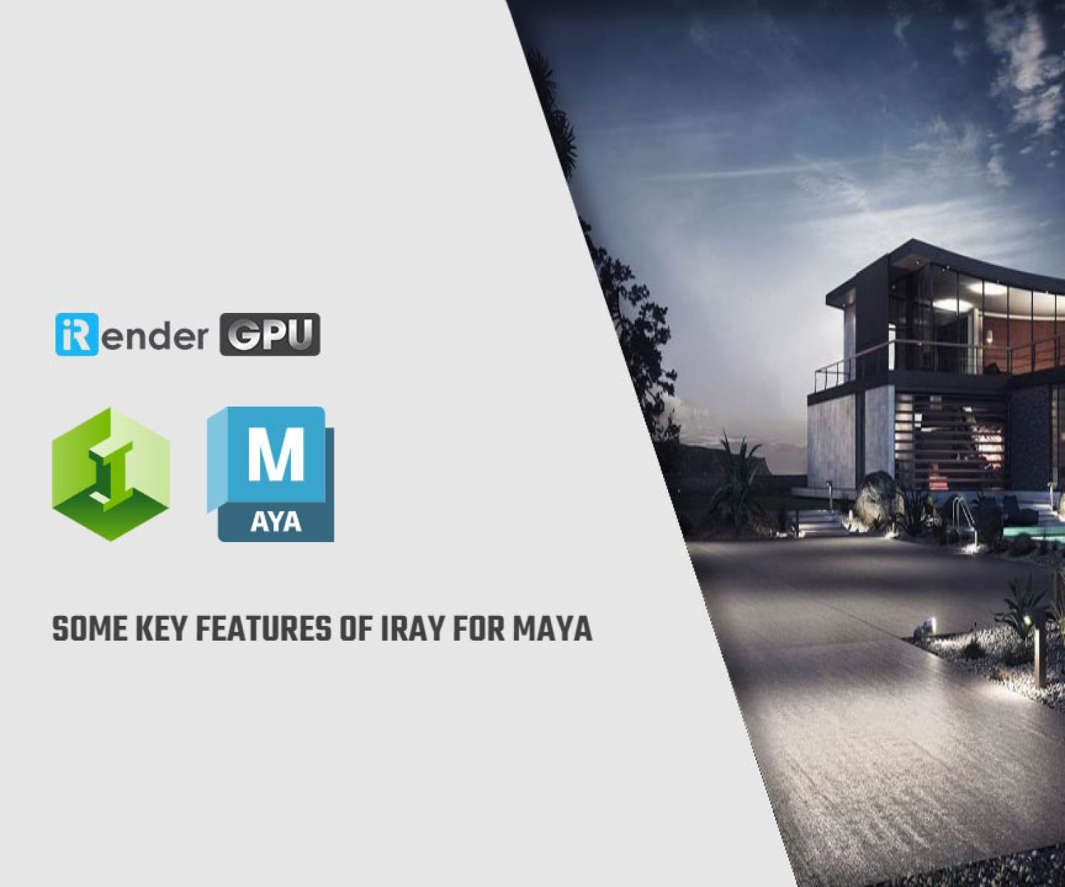 Useful Maya Lighting and Rendering Tricks | Arnold Cloud Rendering Useful Maya Lighting and Rendering Tricks | Arnold Cloud Rendering