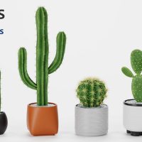 Blender 4.2's Eevee Next and Cycles Comparison | Blender Render farm