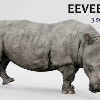 Blender 4.2's Eevee Next and Cycles Comparison | Blender Render farm