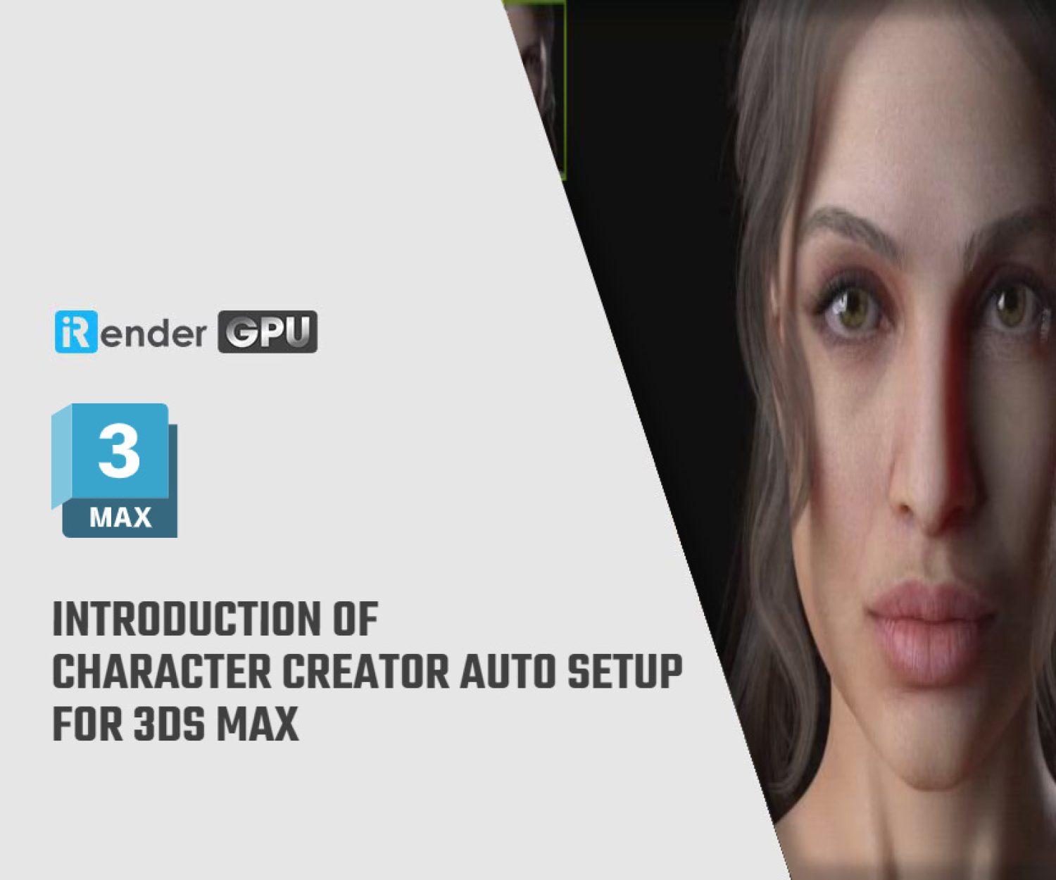 Character Creator Auto Setup for 3Ds Max Archives | iRender Cloud Rendering Service