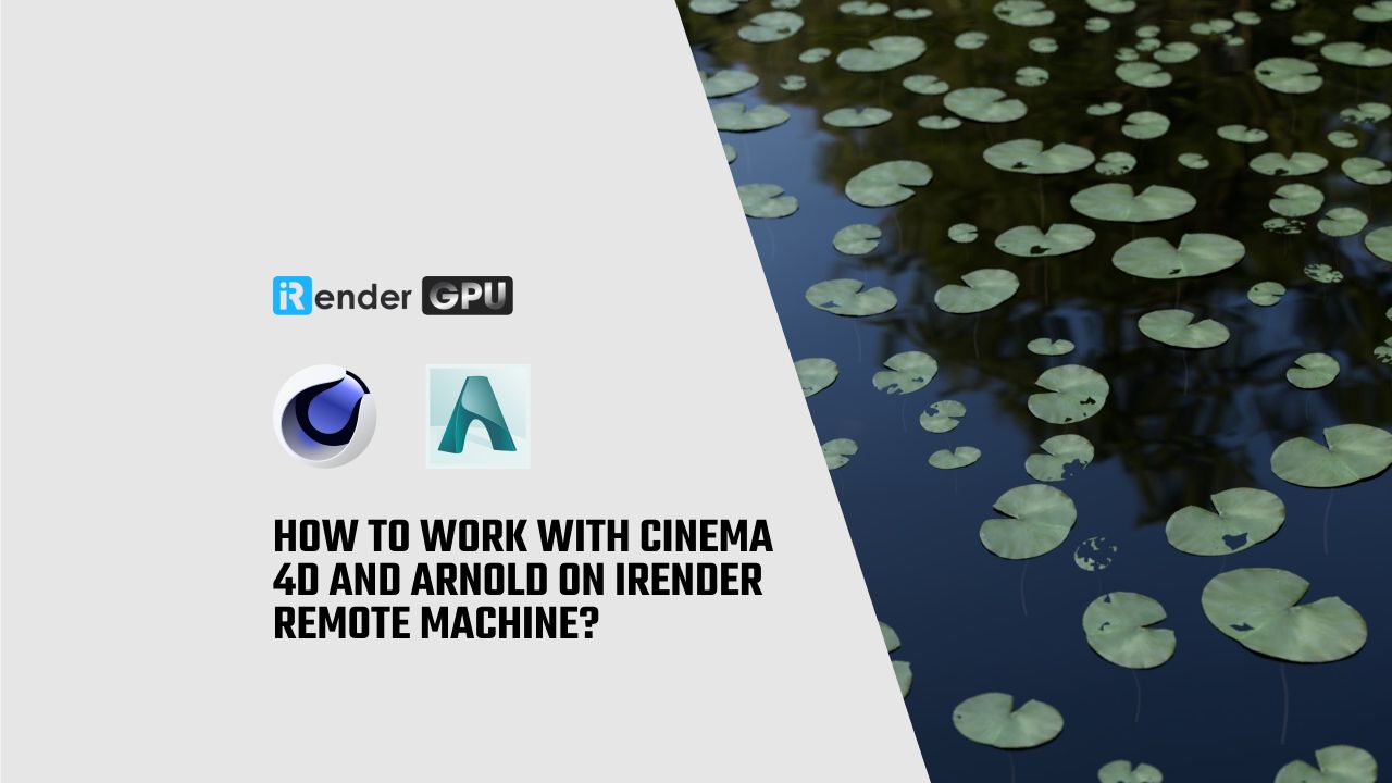 How to work with Cinema 4D and Arnold on iRender remote machine? | Arnold Cloud Rendering