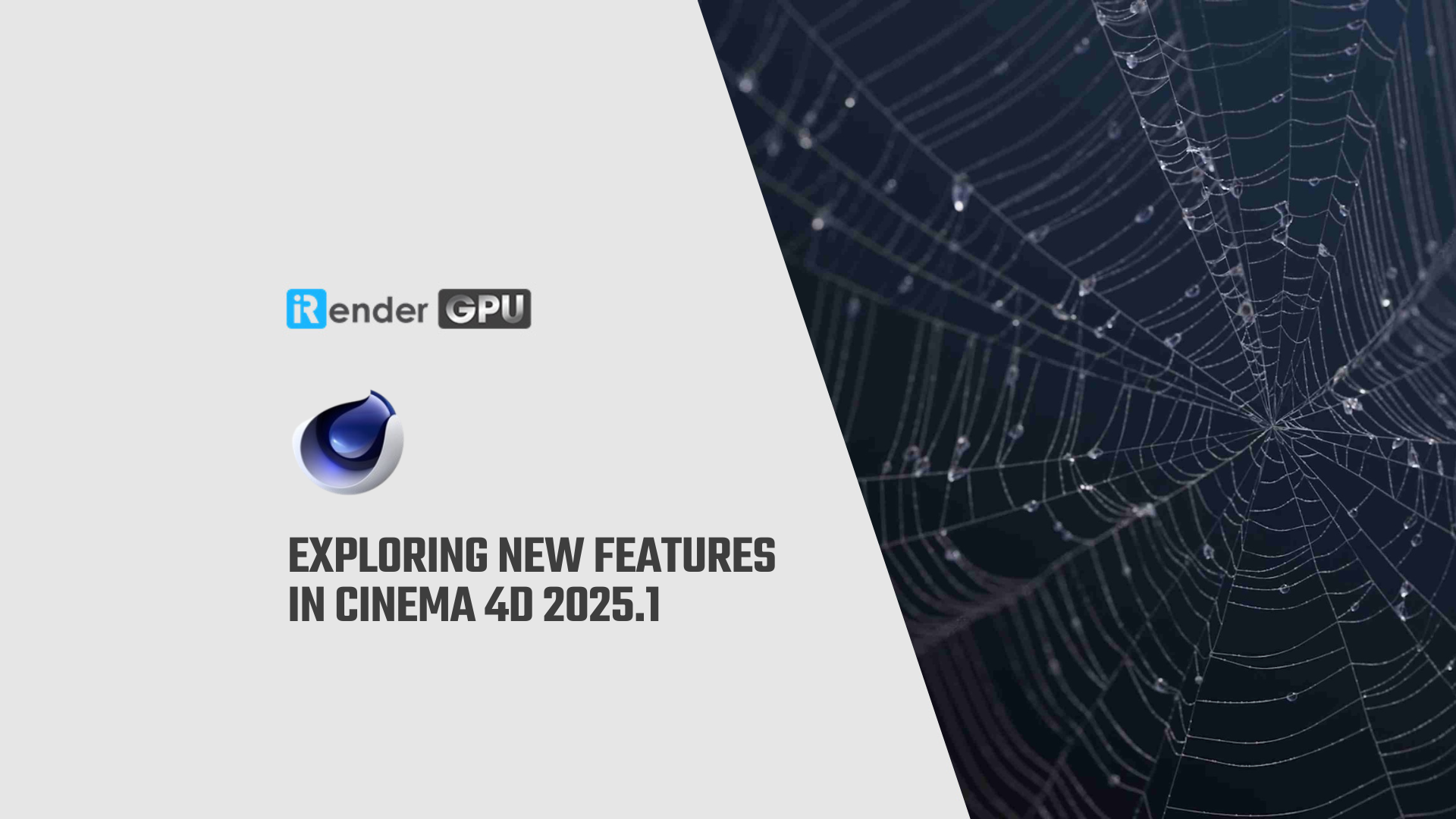 Exploring new features in Cinema 4D 2025.1 | iRender Cloud Render farm